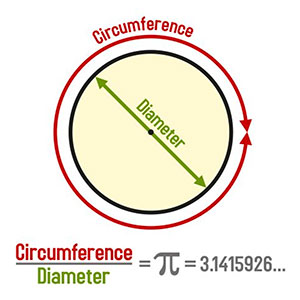 Frequently Asked Questions | Maplebeck Tree Care, Nottinghamshire